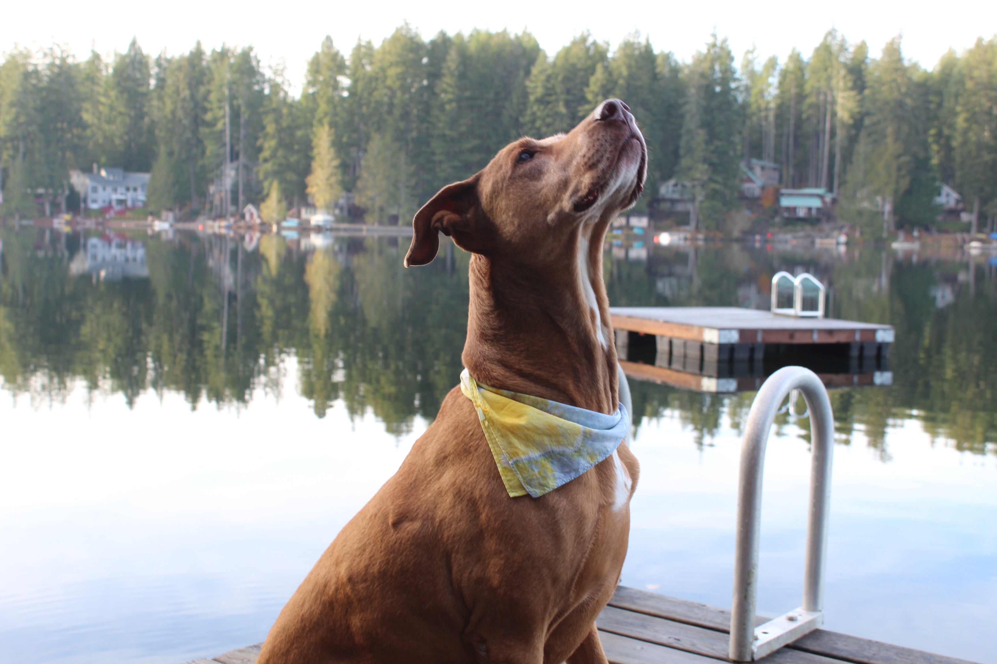 Bandana Wraps – MUDGE FUDGE